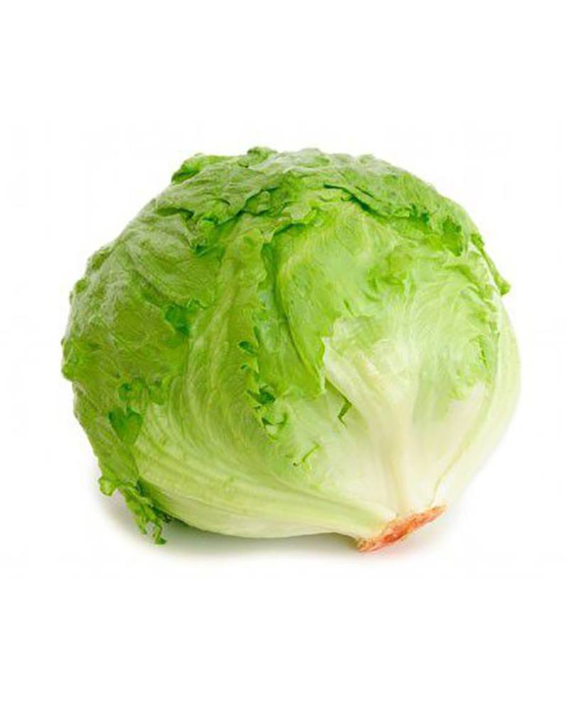 LECHUGA CRIOLLA X UND - Sihai Market